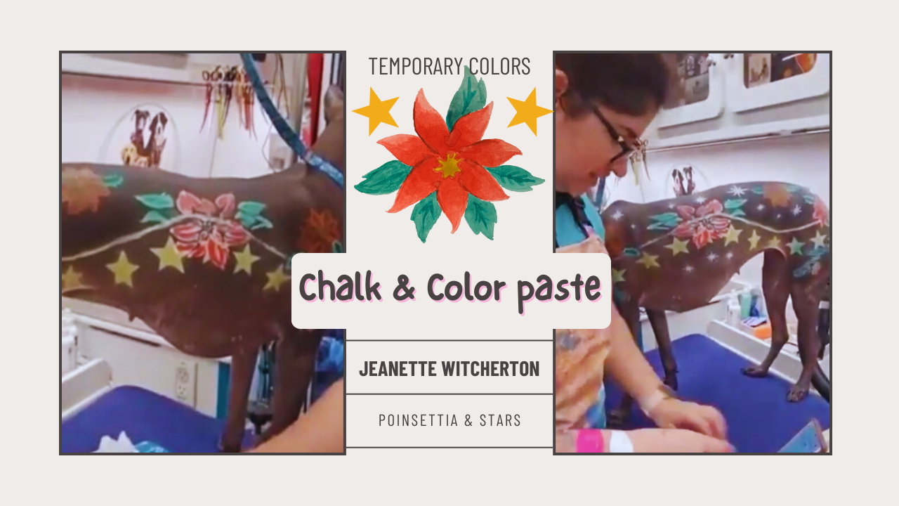 Poinsettia Design Using OPAWZ Pet Hair Chalk & Color Paste Temporary D