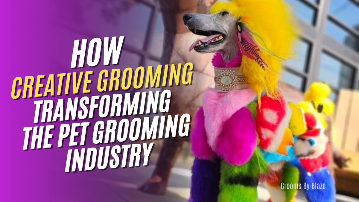 How Creative Grooming Transforming the Pet Grooming Industry – OPAWZ