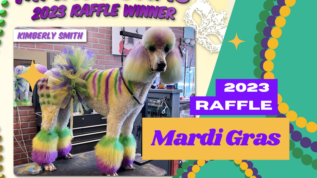 Mardi Gras Raffle Creative Dog Grooming 2023 – OPAWZ