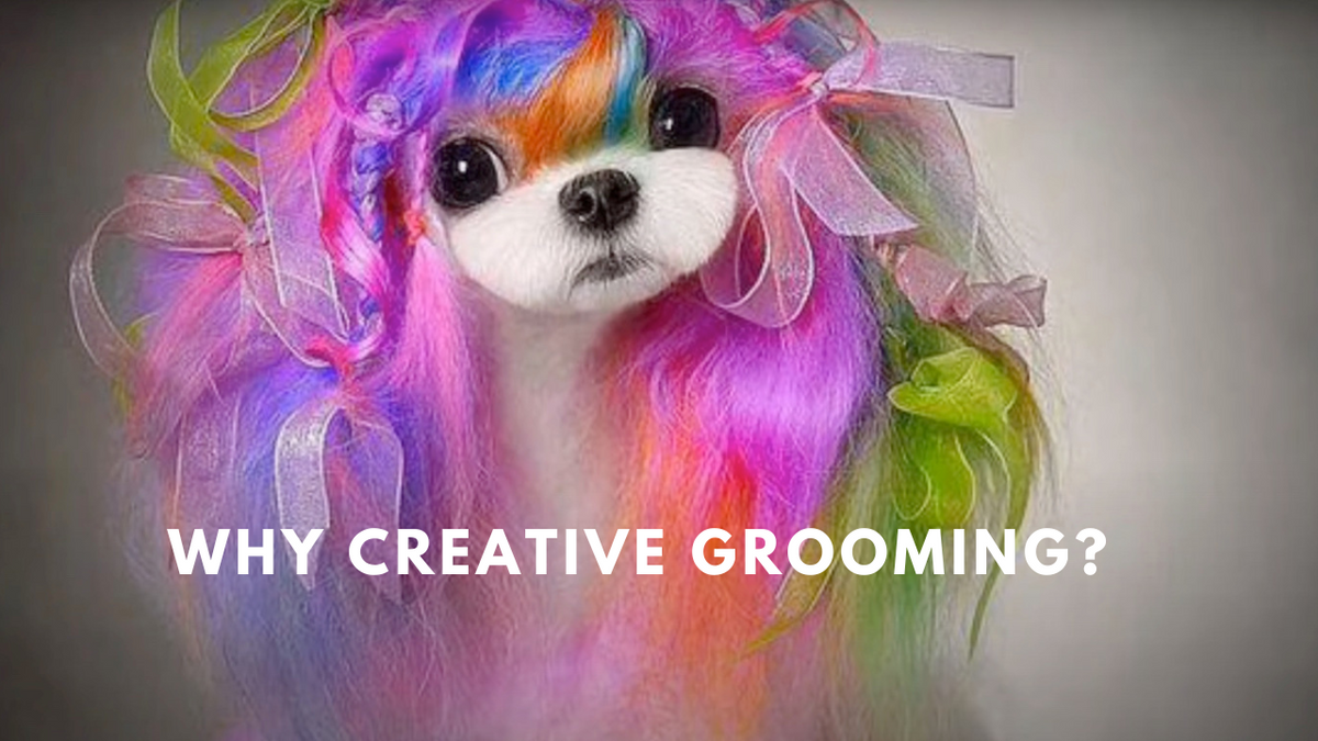 Why Creative Grooming? Welcome To OPAWZ Creative Collection For Pet