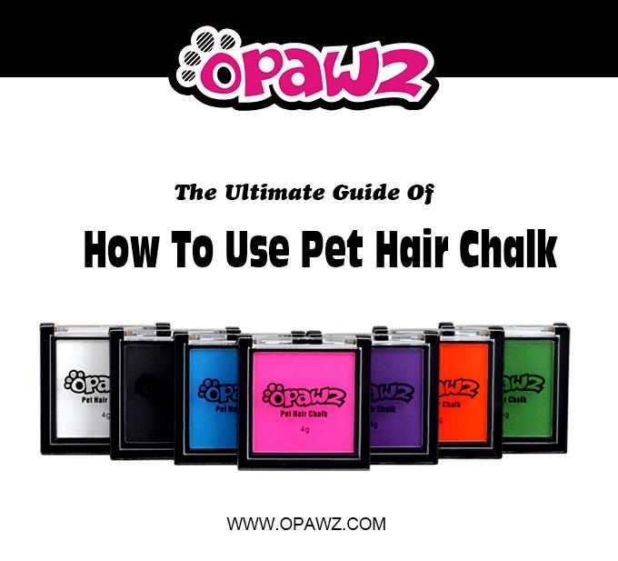 Pet Hair Chalk - Ultimate Guide – OPAWZ