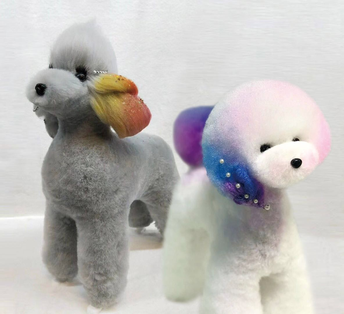 Model Dogs for Dog Grooming: Practice Your Skills, Display Your Work ...