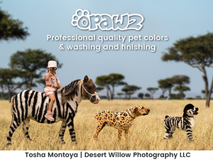 Cat Hair Dye | OPAWZ Safe Pet Hair Dyes For Cats